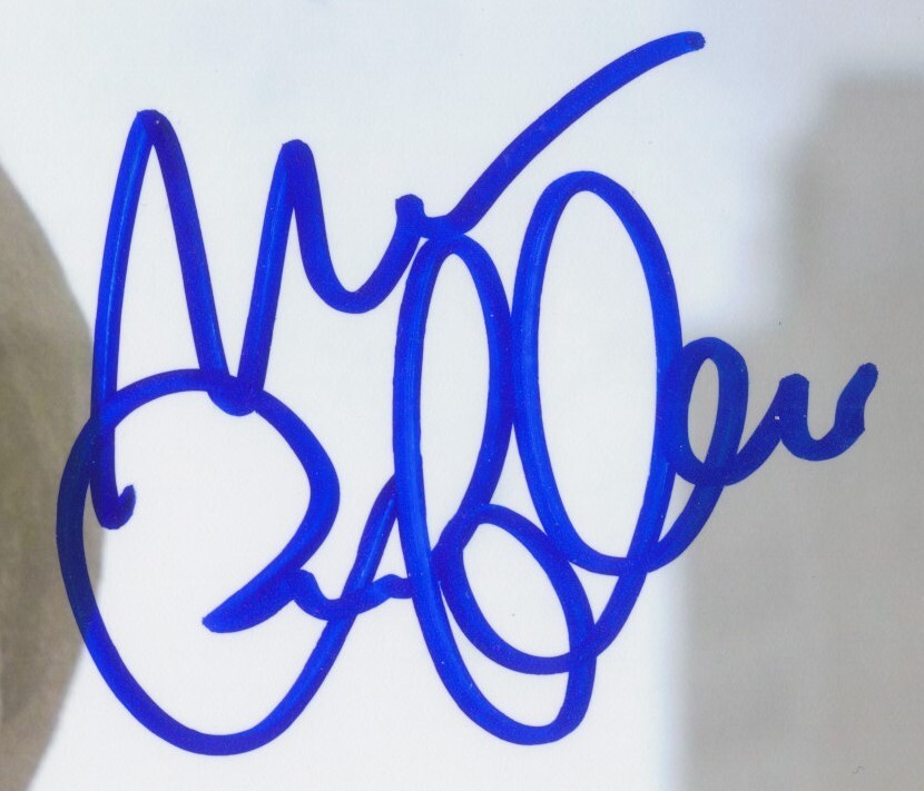 MARK RUFFALO Signed MARVEL Bruce Banner HULK 8x10 Autograph OPX 021679 ...