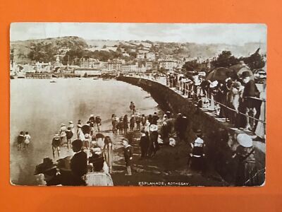 Esplanade Rothesay unused Vintage Postcard R39771 | eBay