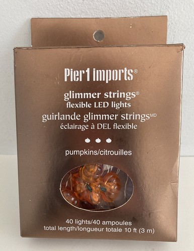 Pier 1 Imports Glimmer Strings Pumpkin Halloween LED 40 Lights 10 Feet ...