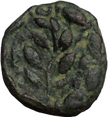 HADRIAN 117AD Beroea in Cyrrhestica Laurel Ancient Roman Coin RARE ...