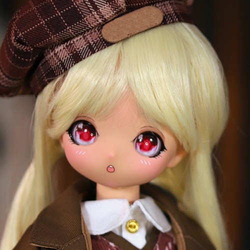 1/4 BJD Doll 16 inch Fashion Doll with Clothes Shoe Hat Removable Wigs ...