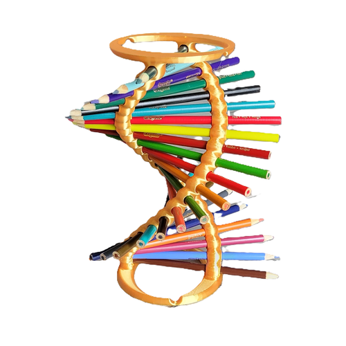 Double Helix DNA Desk Organizer - Durable Pencil Holder for 23 Pencils ...