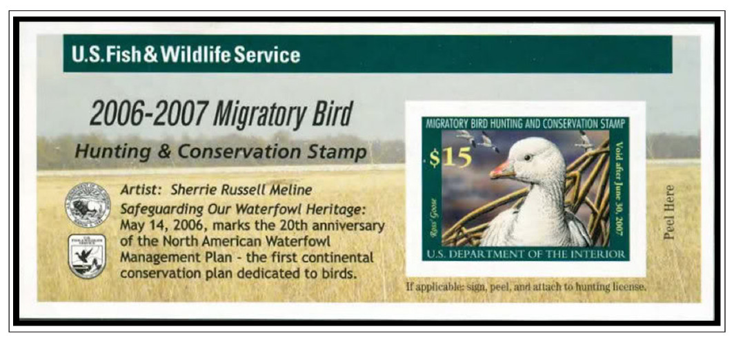 COLOR PRINTED USA FEDERAL DUCK 1934-2020 STAMP ALBUM PAGES (46 illustr ...