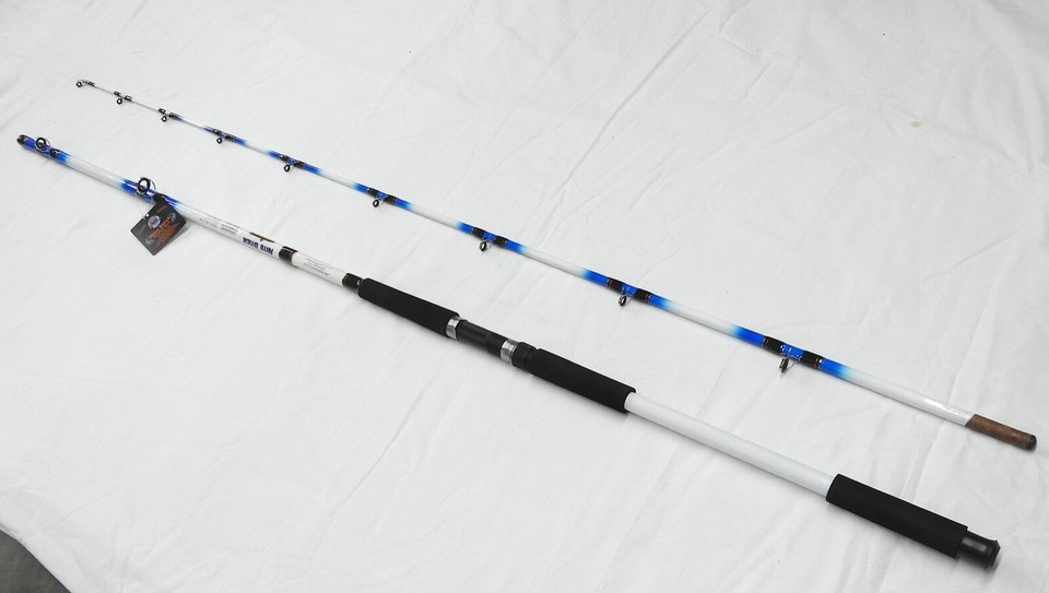 Classic Nite Stick Catfish Casting Rod 12' 2PC Glow Tip Blue | eBay