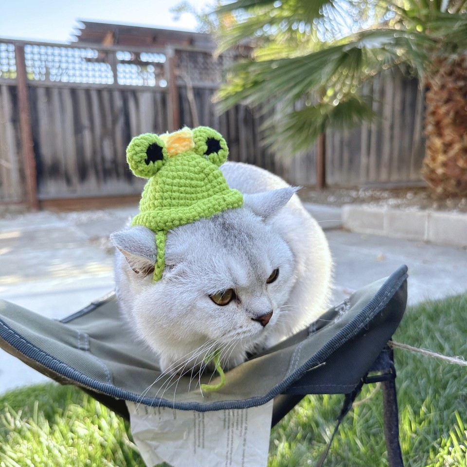 small froggie crochet hats for cats and small dogs/ knit cat hat | eBay
