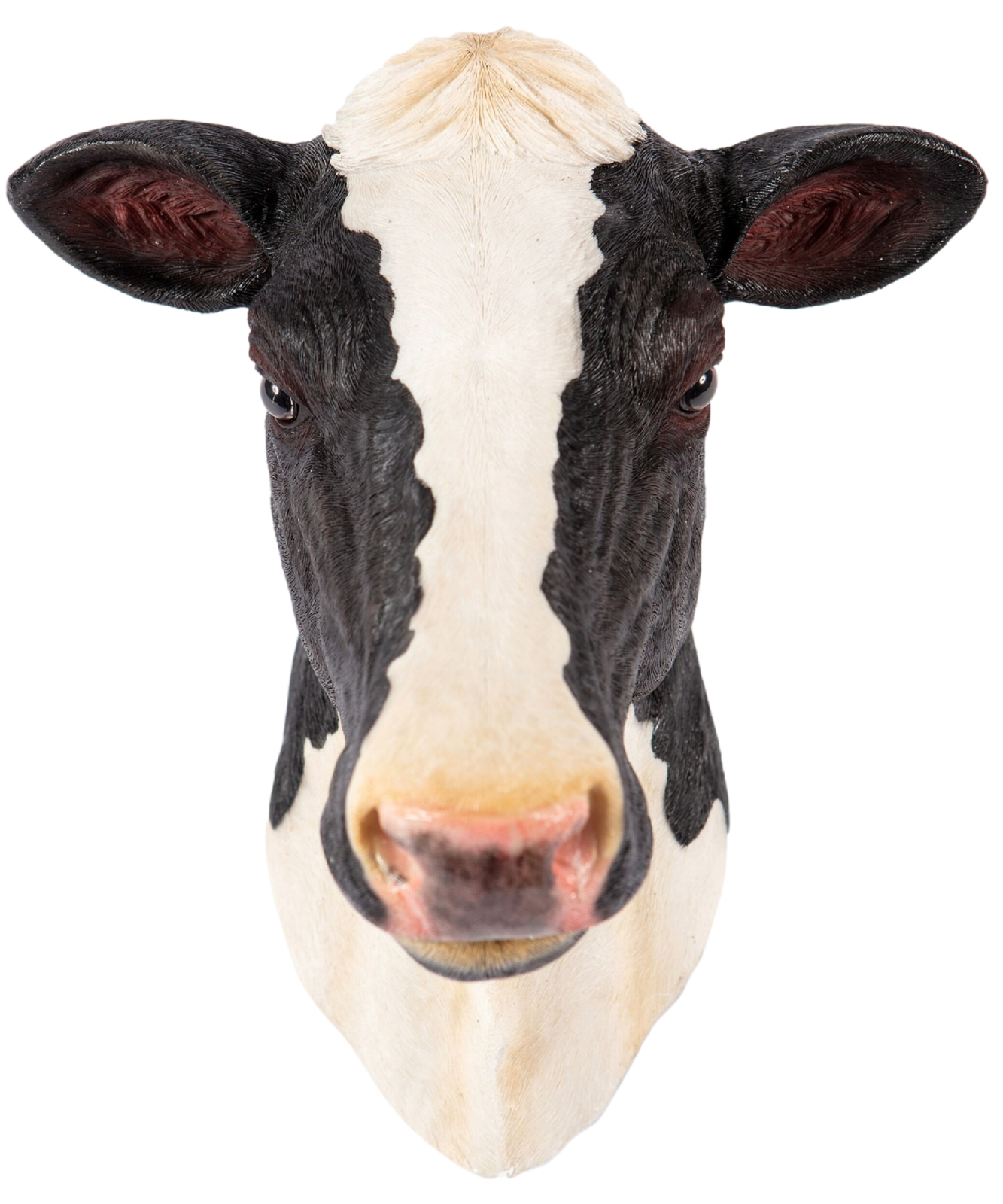 Cow Head Wall Mounted Ornament Resin Farmyard Decoration Figurine in or ...