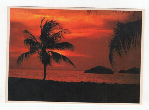 The Beautiful Color of a Rare Florida Sunset Postcard Unposted | eBay