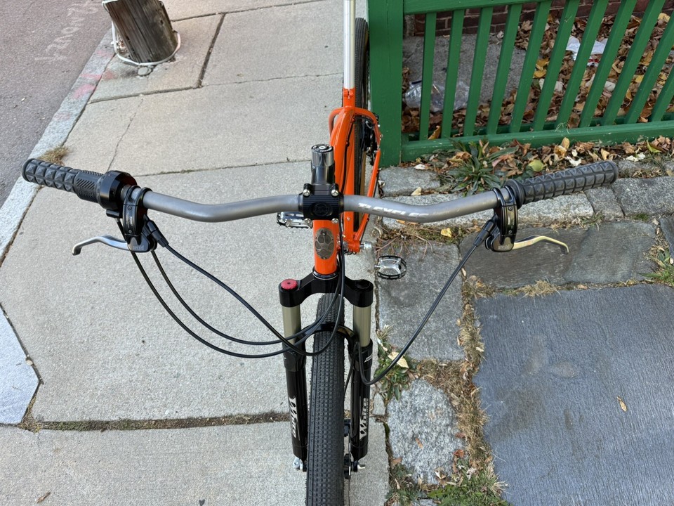 Wily 19” Steel Custom 29” MTB Cruiser Rohloff White Bros Paul Phil Wood ...