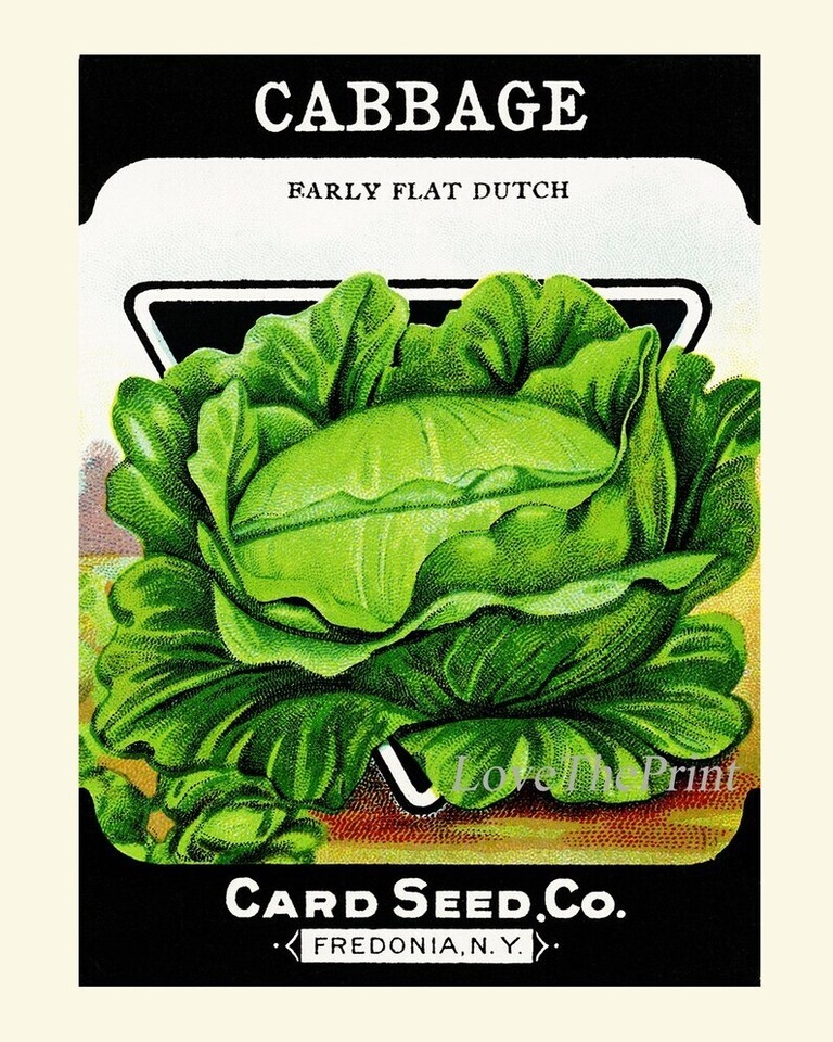 Vintage Vegetable Seeds Packet Botanical Wall Art Print Set of 6 ...