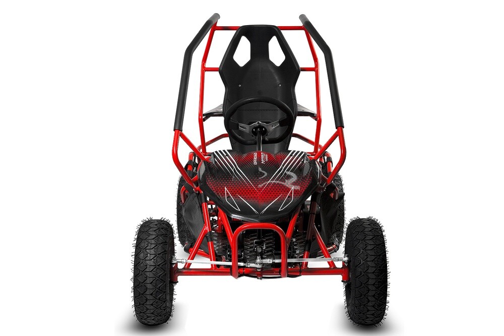 Elektro Kinderbuggy GoKart Racer 1000 Watt, 2-Stufen Drossel ...