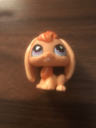 2006 AUTHENTIC Hasbro Littlest Pet Shop LPS 480 Orange Bunny Rabbit ...