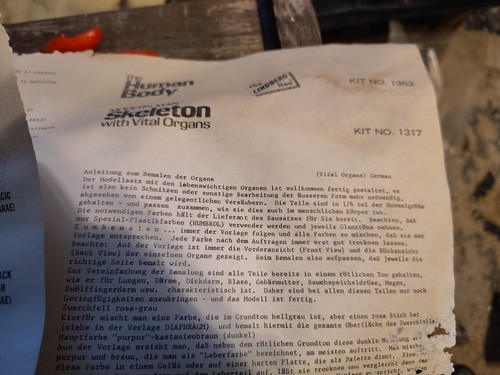 Human Skeleton Vintage 1973 Lindberg Model Kit No. 1304 Science Series ...