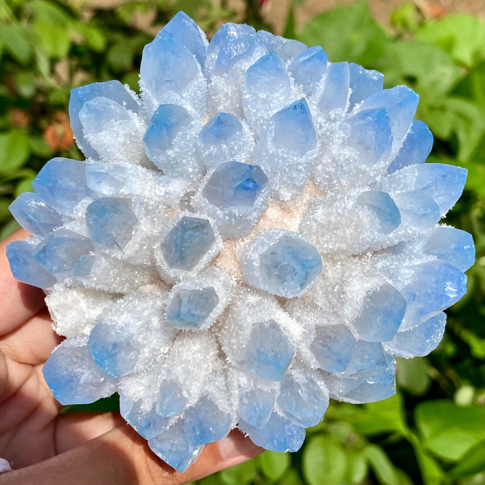 1.2LB New Find BLUE Phantom Quartz Crystal Cluster Mineral Specimen ...