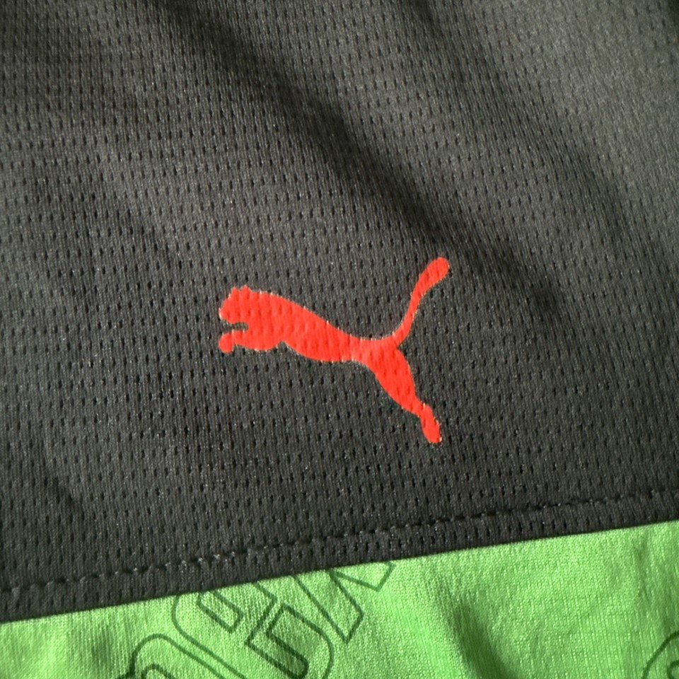 Puma Mexico T Shirt Mens Size Large Mexican Soccer Futbol Green Graphic ...