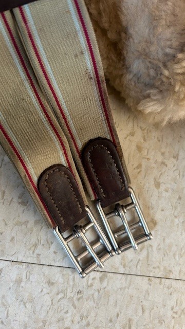 M. Toulouse CONTOURED English GIRTH Triple Elastic End ROLLER BUCKLES ...