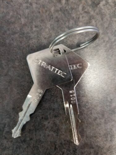 Set of 2 Replacement 0015 Keys for QLT T-Handle Truck Topper Handles | eBay