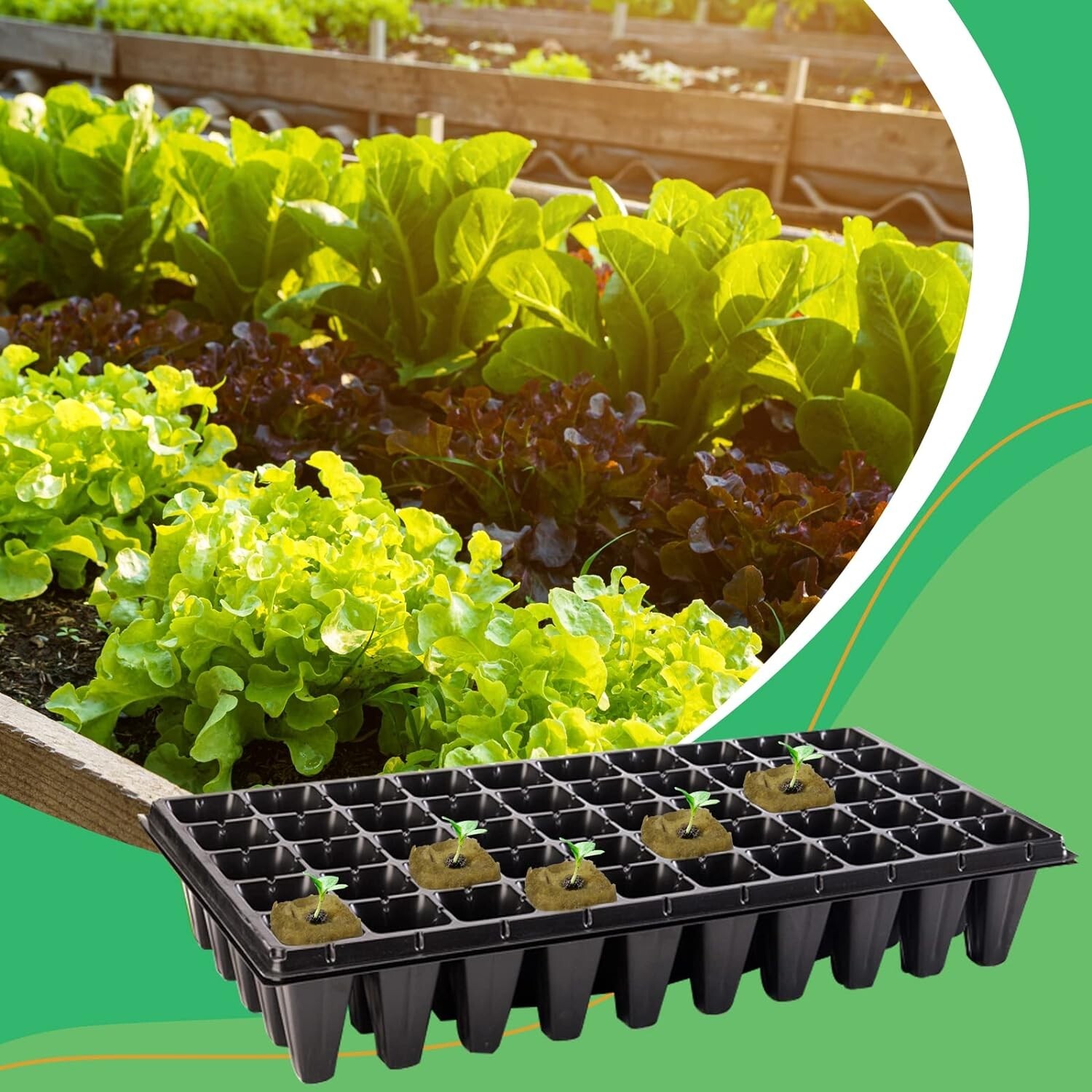 Optimal Nutrient Absorption Hydroponic Mineral Wool Cubes for Rapid ...