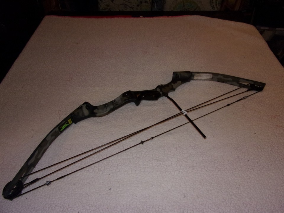 Alpine Beartooth Hunter Compound Bow | eBay