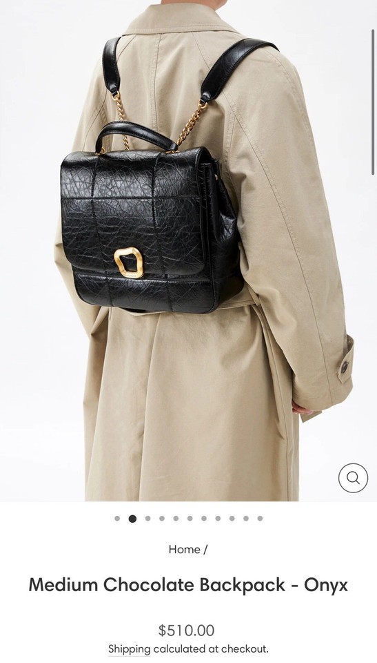 Women's Medium Chocolate Backpack- Onyx. NWB, Tags. Dust Bag. Retail ...