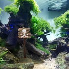 Ornement d'arbre d'ornement d'ornement d'ornement d'ornement de raque ...