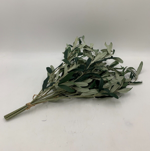 Pottery Barn Faux Olive Bundle Green 23.5" H #Z595 | eBay