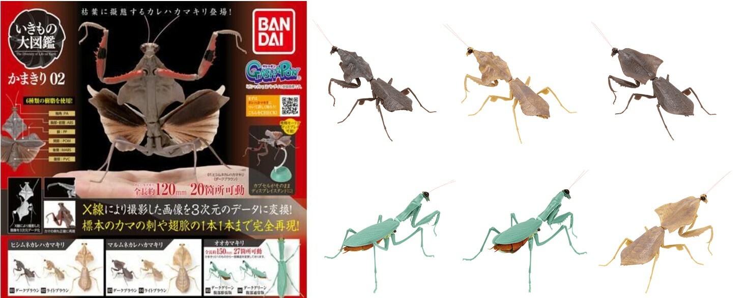 Bandai Part 2 Dango Mushi Kamakiri Praying Mantis Deroplatys Gashapon 6 ...