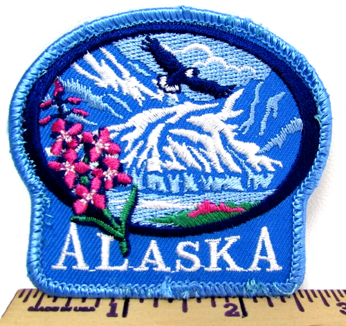 Vintage Alaska National Park Jacket Patch Soaring Eagle Alpine Forget ...