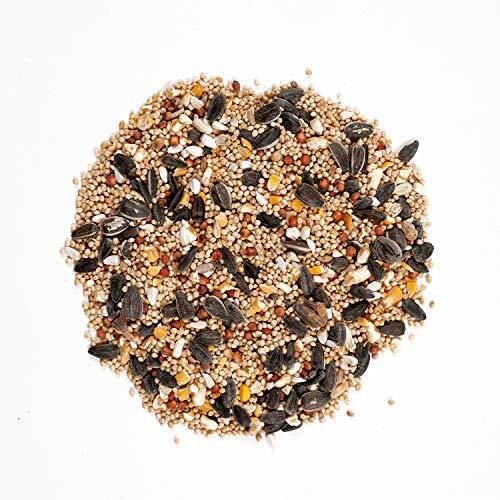 62004 Eastern Regional Wild Bird Food, 20-Pound Bag | eBay