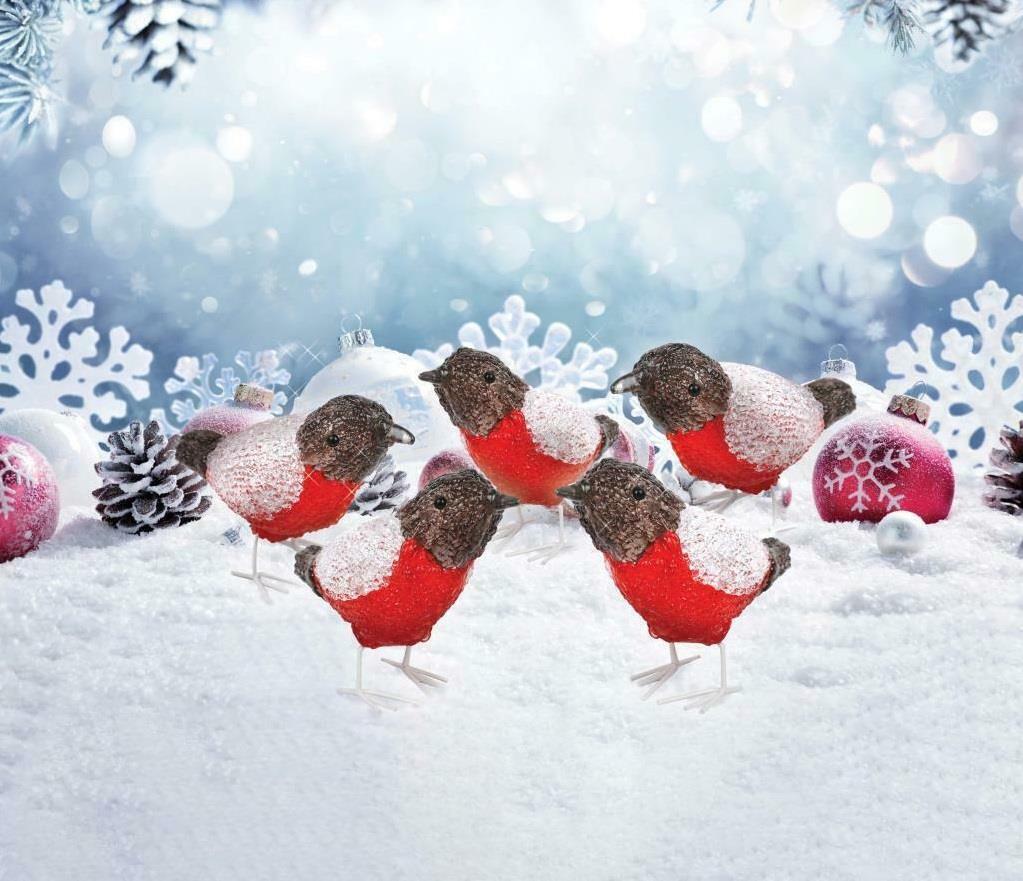Outdoor Christmas Robin Lights