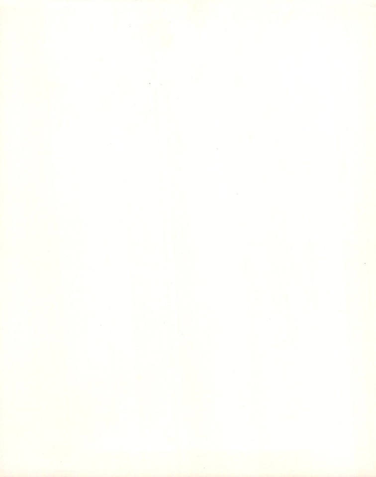 HOLLYWOOD BOMBSHELL DIANA DORS SWIMSUIT CHEESECAKE MATTE LEGGY 1950s ...