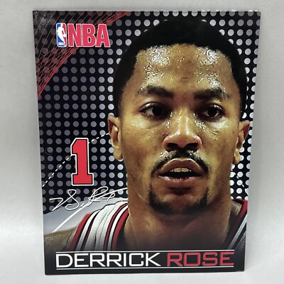 Derrick Rose Portfolio 2 Pocket Folder 11.81” x 9.35" NBA Chicago Bulls ...
