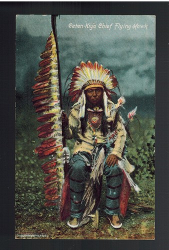 Mint PPC Picture Postcard Cover Native American Indian Chief Flying ...
