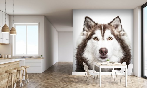 3D Husky Portrait O215 Animal Wallpaper Wall Murals Removable Wallpaper ...