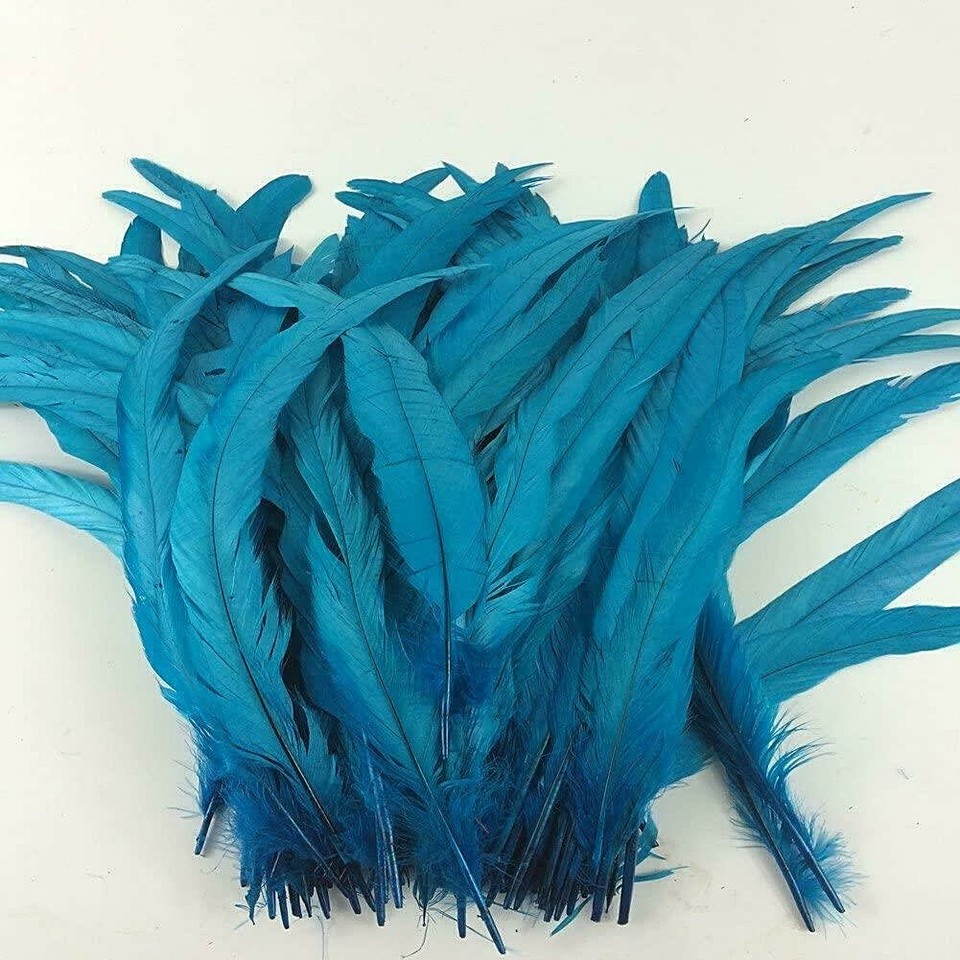 Rooster Tail Coque Feathers - Dyed Turquoise - 20 Pcs. - 7-10" - Grade ...