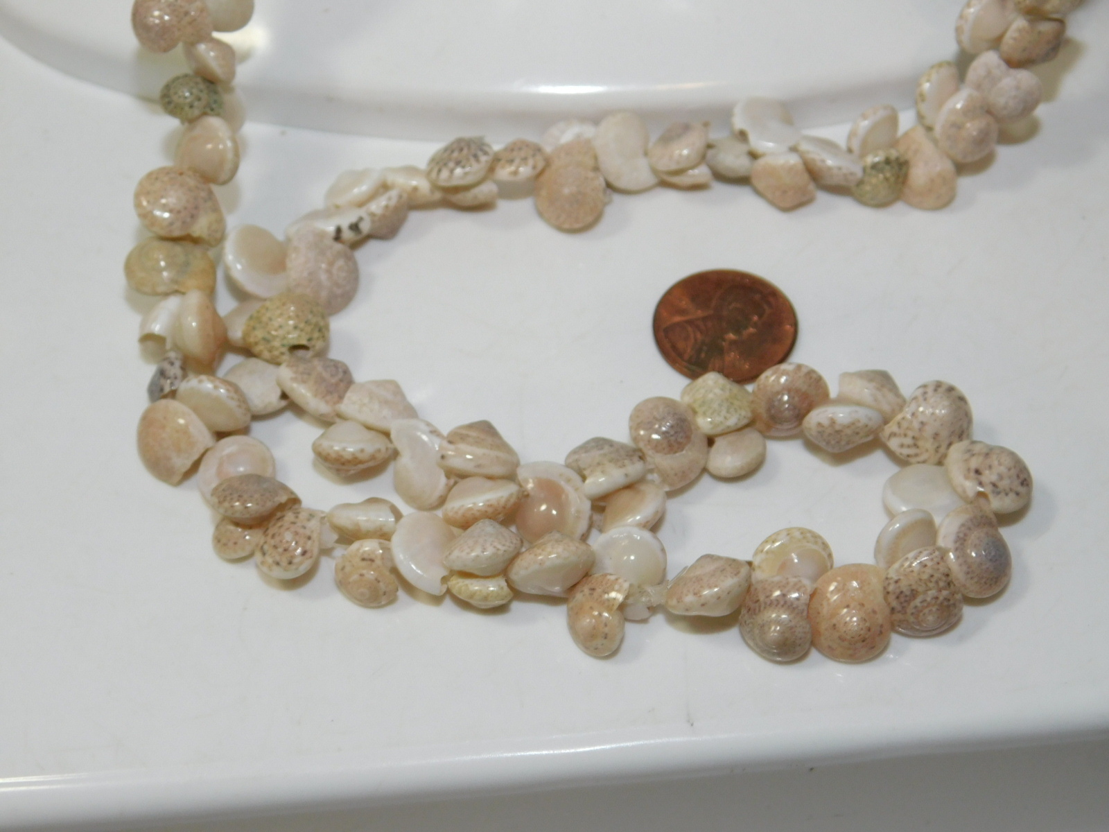 Vintage Hawaiian Small Snail Shell Lei Garland Luau 34" Necklace 7k 46 ...
