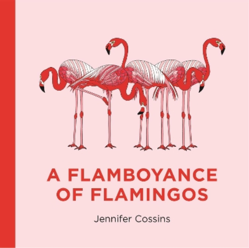 Jennifer Cossins A Flamboyance of Flamingos (Gebundene Ausgabe ...