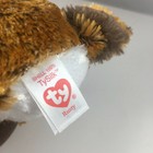Ty Beanie Boos - RUSTY the Raccoon (6 Inch) NEW - MINT with MINT TAGS ...