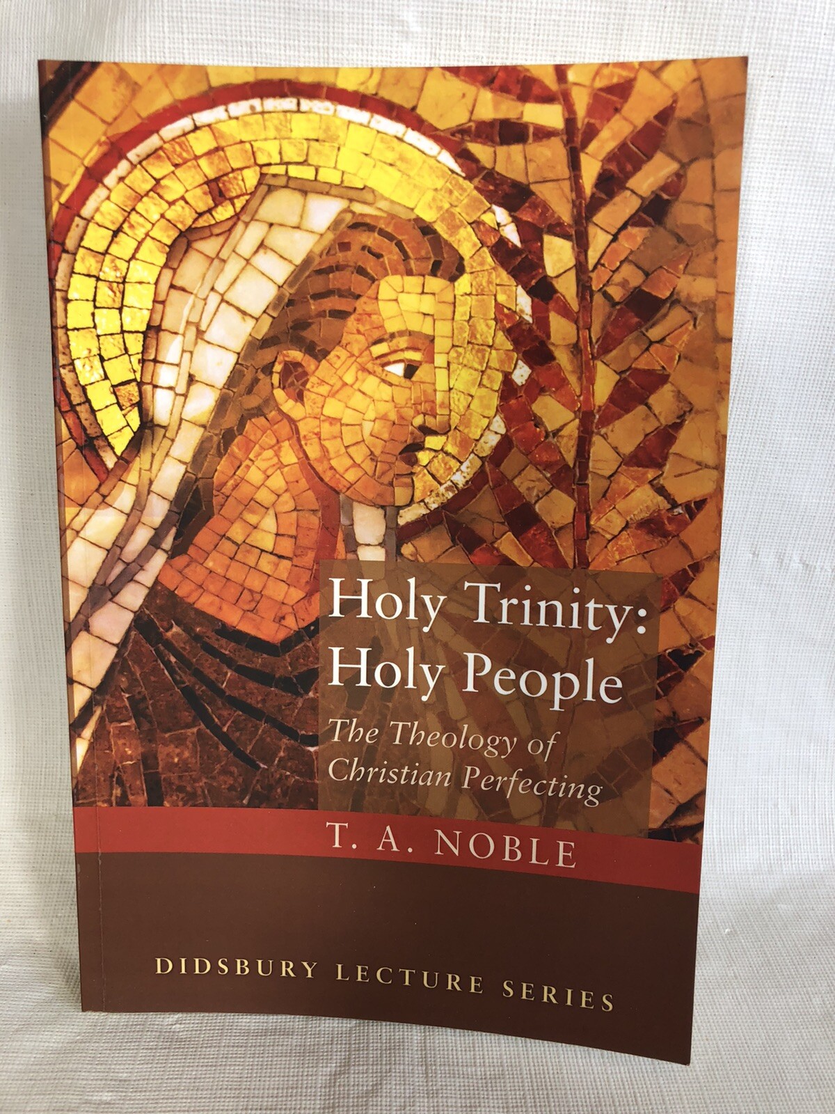 The Didsbury Lectures Ser.: Holy Trinity: Holy People : The Theology of ...