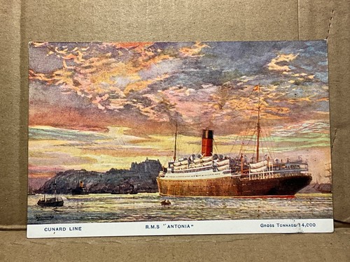Cunard Line RMS ANTONIA super 1910s ART POSTCARD 28/5 | eBay UK