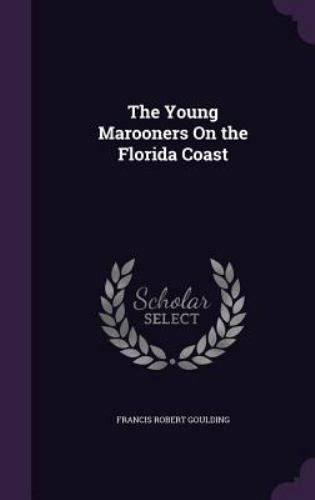 Young Marooners on the Florida Coast by Francis Robert Goulding (2016 ...