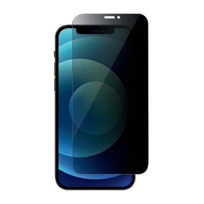 STS Privacy Tempered Glass Protector for iPhone 12 / 12 Pro (6.1 ...