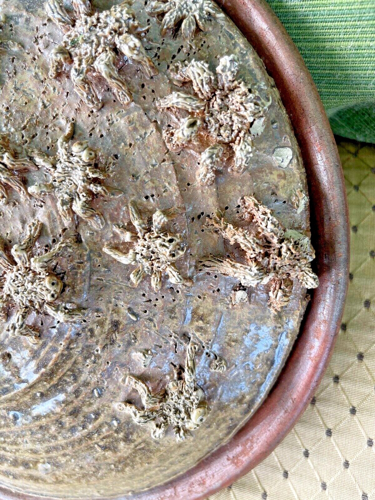 Spider nest tarantula sculpture pottery bowl vase terra-cotta 9" OOAK signed | eBay