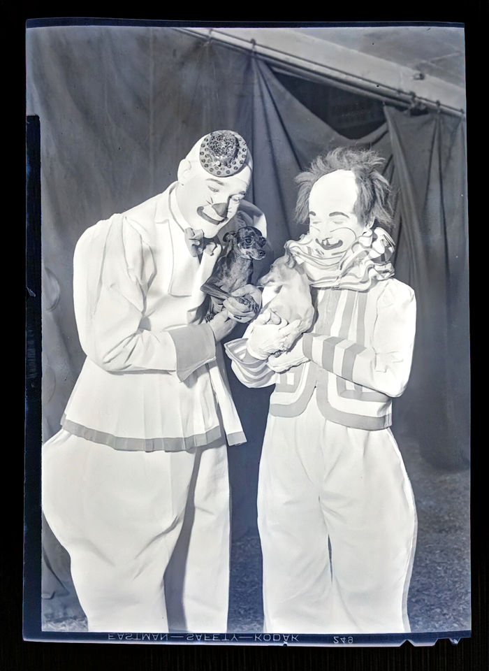 Clowns Bobo Barnett And Wife With Dogs Orrin Davenport Circus Photo ...