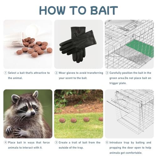 Animal Trap 26"x10"x9" Cage Trap,Heavy Duty Folding Raccoon Traps Live ...