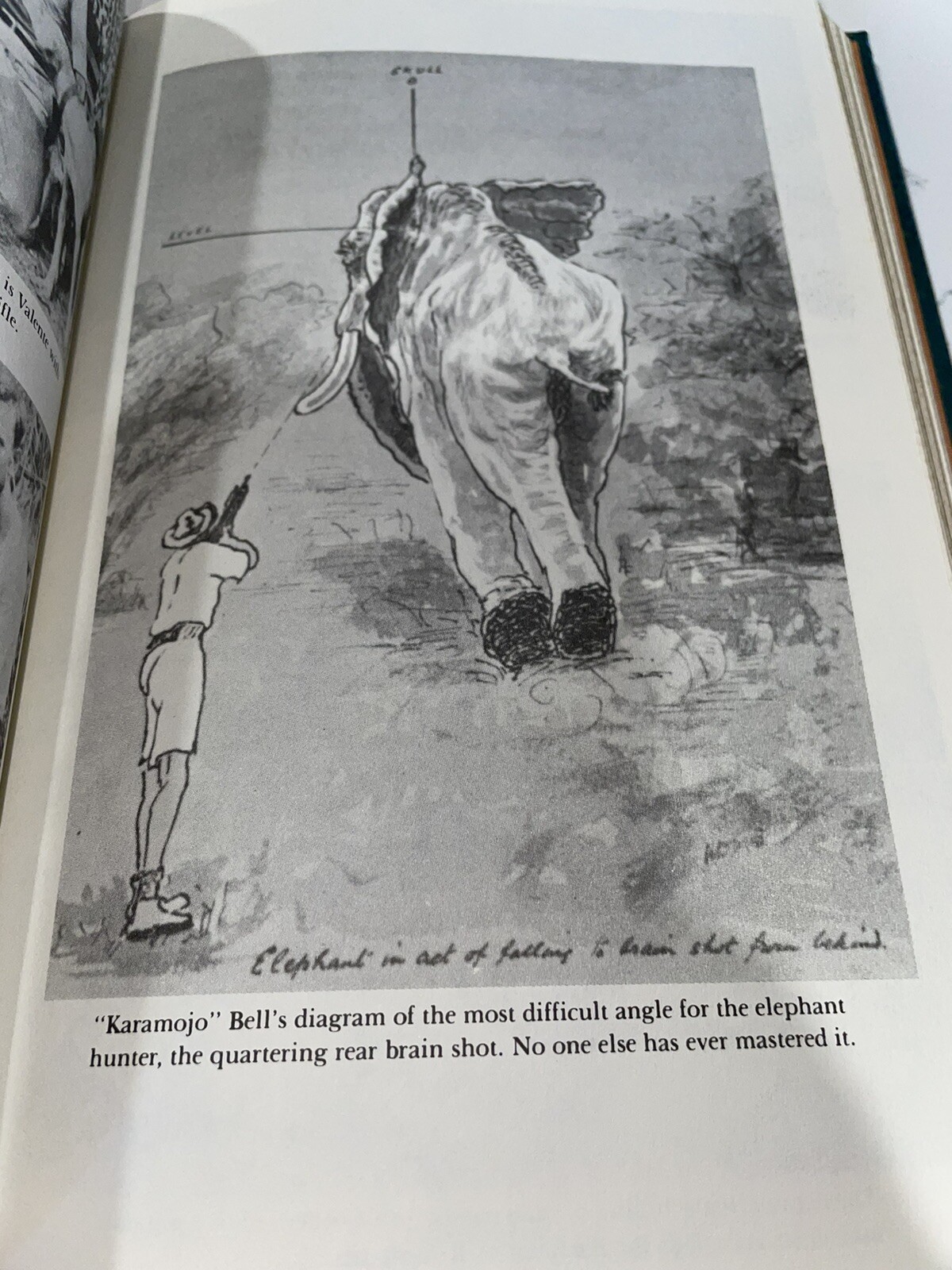 DEATH SILENT PLACES African Big Game Hunting PETER CAPSTICK Elephant ...