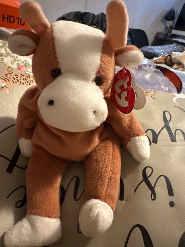 BESSIE-2nd Generation tush tag-3rd Generation hang tag | eBay