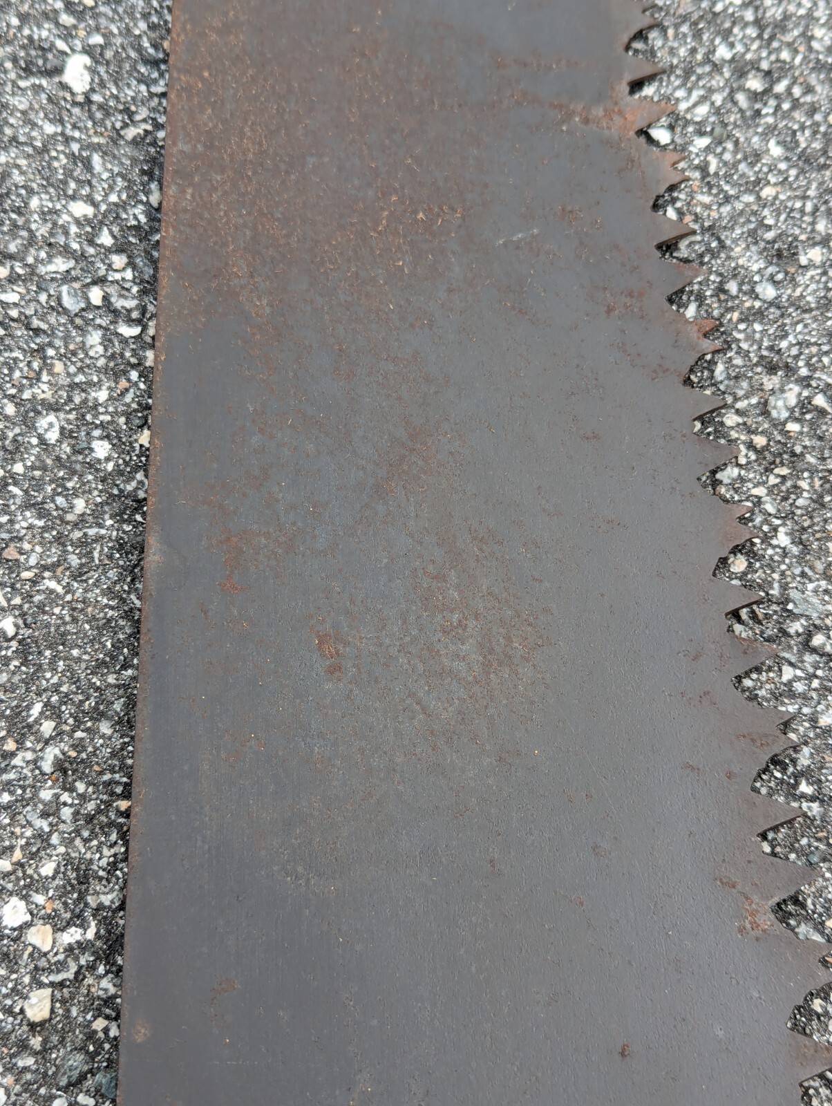 Vintage One Man Crosscut Saw With Handle | eBay