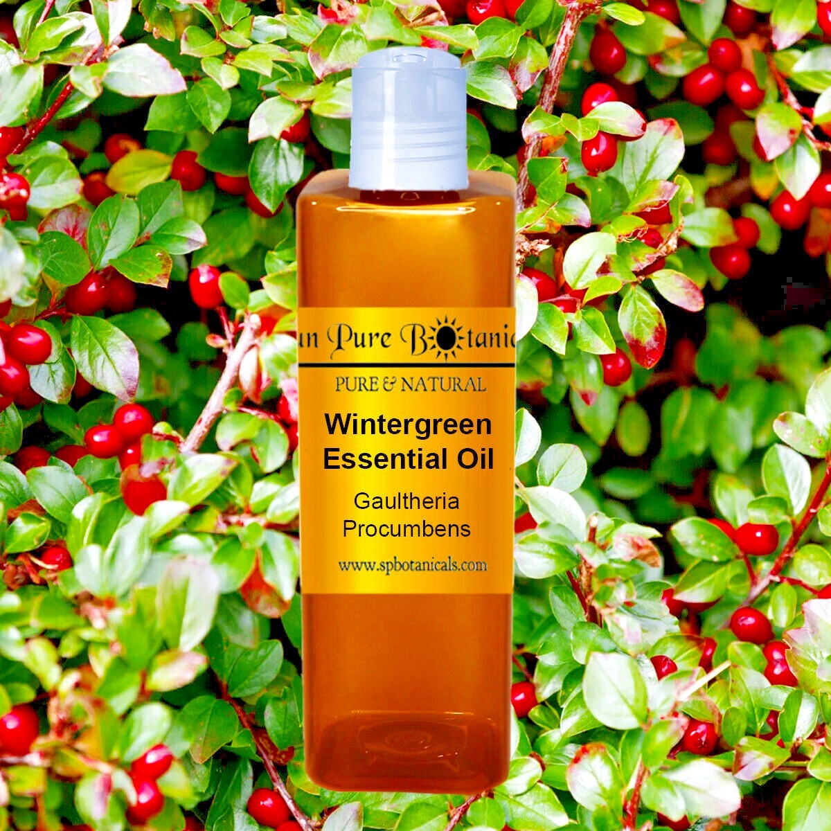 Wintergreen Essential Oil · 100% PURE! · New · Uncut · SHIP FREE · 16oz ...