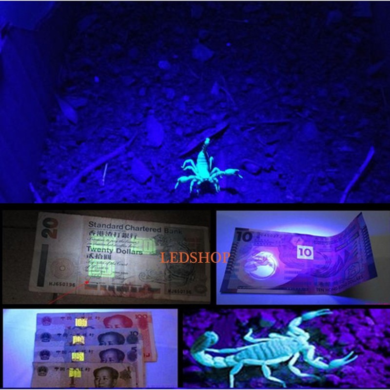 395nm 51LED UV Blacklight CSI Flashlight Torch Scorpion Hunter Finder ...