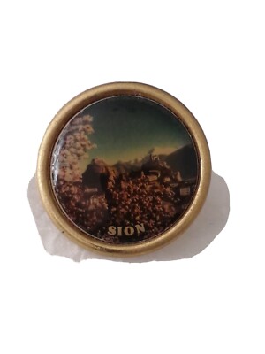 Pin's Pins Pin Ville Suisse "Sion" | eBay